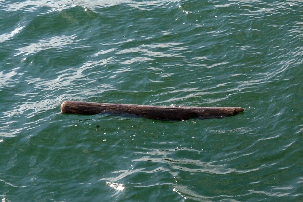 Πράξεις ανθρώπινης εκβολής ως αβαρία στη ναυτική Ιστορία | navalhistory.gr